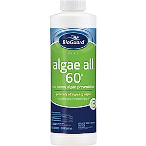BioGuard Algae All 60 Swimming Pool Algaecide 2 Pack with LeisureQuip ScumBoat Scum Absorber and LeisureQuip Pool Log Book