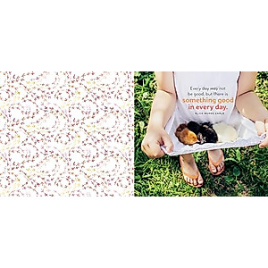 Chicken Wisdom Frame-Ups: 50 Inspirational Prints to Put You in a Fresh Frame of Mind