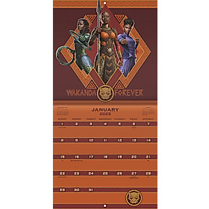 2023 Marvel Black Panther: Wakanda Forever Wall Calendar