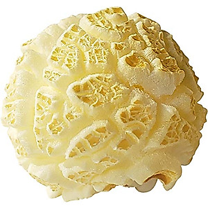 Mushroom Popcorn Kernels by Princeton Popcorn - Farmer Direct, Non-GMO, Gluten Free, UnPopped, Ball Shaped, Old Fashion Popcorn Pops Extra Large popcorn kernels, mushroom popcorn kernels for popping for Air Popper & Stovetop 32oz