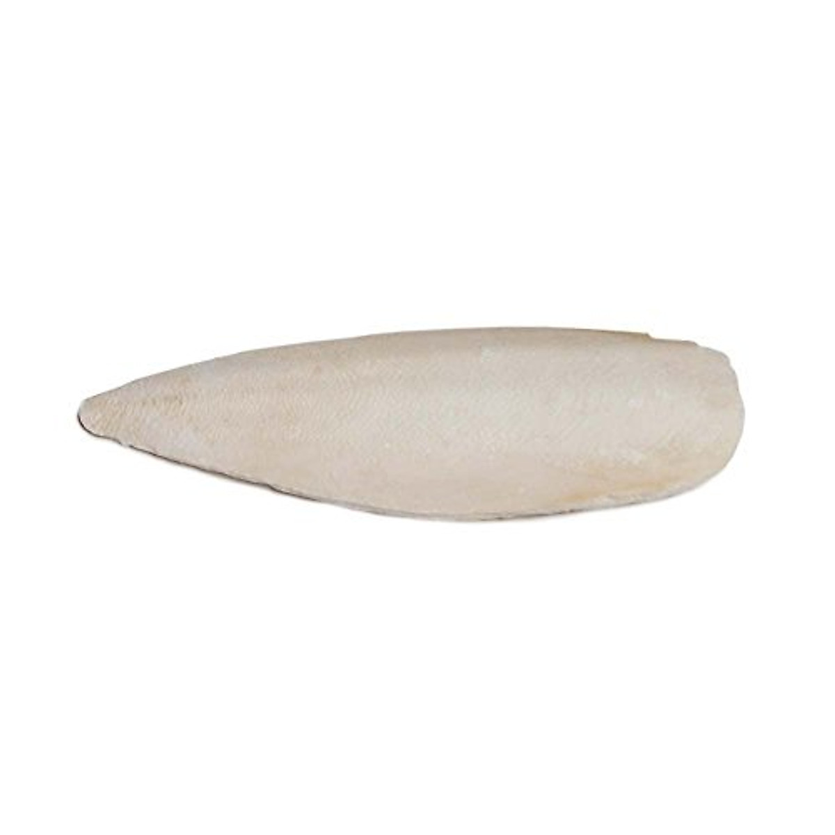 Prevue Pet Treat Cuttlebone Box, Large