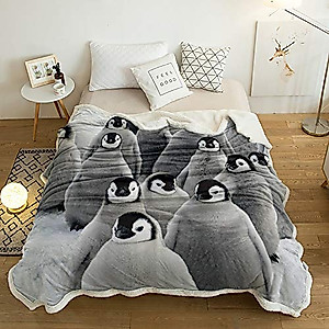 LUSWEET Sherpa Fleece Blanket,Penguins Family Cute Animals Bed Blanket Soft Cozy Luxury Blanket 50"x80",Fuzzy Thick Reversible Warm Fluffy Plush Microfiber Throw Blanket for Couch Bed Sofa