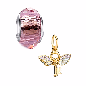 HappyStar 925 Sterling Silver Charms for Pandora Charms Bracelets and Necklaces Beads Charms Jewelry Mother's Day Gift for Women （With one Spacer Bead Charms