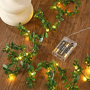 Mikasol Artificial Garland with Led Fairy Lights Battery Operated, 1 Pack Leaf Lights, Vine Hanging Lights for Bedroom, Christmas, Parties, Wedding, Centerpiece, Decoration (5m/16ft Warm White)