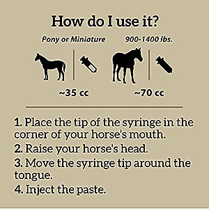 REDMOND Daily Gold Syringe Natural Healing Clay for Gastric Ulcers in Horses (Stress Relief Pre-Race Paste) (Single Pack)