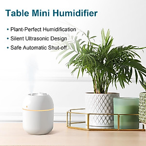Portable Small Humidifier, USB Personal Desktop Humidifier for Car, Office Room, Bedroom, Auto Shut-Off, 2 Mist Modes, Super Quiet(220ml, White)