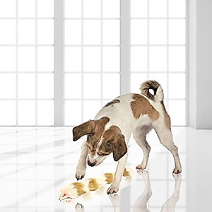 Iconic Pet Set of 2 Fur Weasel Toy(One Brown/White, One Multicolored) with Squeaker for Pets, Best Pet Play Toy for Dogs and Cats, Fun Cat Toys, Dog Toys to Beat Boredom and Satisfy Hunting Instincts