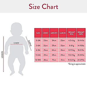 Disney Baby Bodysuit and Hat Set | The Incredibles Baby Clothes | Newborn Onesie Red 6-9 M