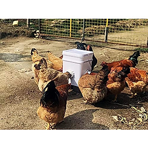 DIY Chicken Feeder No Waste 4 Ports-1 Hole Saw, Rain Proof Poultry Feeder Gravity Feed Kit for Buckets Barrels Bins and Troughs……