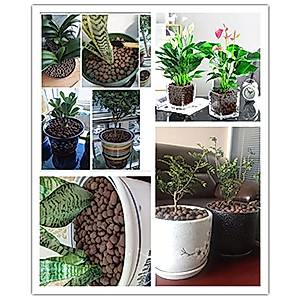 SiynannLawn 8LBS Expanded Clay Pebbles Grow Media Drainage Rocks for Potted Plants,Aquaponic,Aquarium,8-14mm Leca Balls for Hydroponics,Leca for Plants