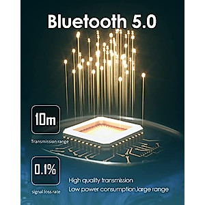 Wireless Gaming Earbuds Bluetooth Headphones with Microphone Waterproof Ultra Low-Latency in-Ear Earphones Cordless Wireless Ear Buds for Gaming Laptop TV Smart Phone PC Sport Black Fallen Angels