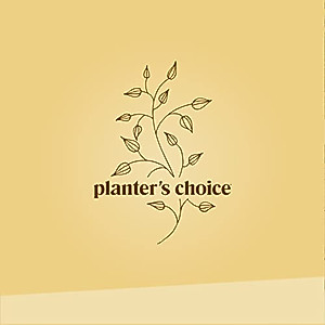 Indoor Herb Garden Starter Kit - Cooking Gifts for Women Gardener - Creative Kitchen Gift for Plant Lovers - Home Herb Growing, Gardening Seeds + Step by Step Guide - Vegan Gift Ideas for Lover