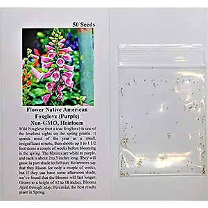 David's Garden Seeds Flower Native American Foxglove 8833 (Purple) 50 Non-GMO, Heirloom Seeds