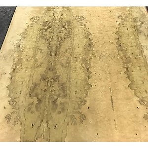 Myrtle Laurel Burl Wood Veneer Sheet 24" x 48" on Paper Backer 1/40" Thick AA