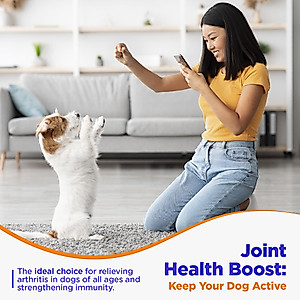 Supplement Anti Inflammatory for Dogs with Turmeric, Hip, and Joint - Dog Arthritis Pain Relief, Support for Mobility & Wellness, USA Made-GMP Certified, Non-GMO, 120 Tablets - Jack & Milo