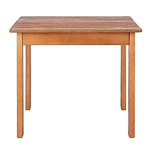 SAFAVIEH Outdoor Collection Randor Natural Folding Table