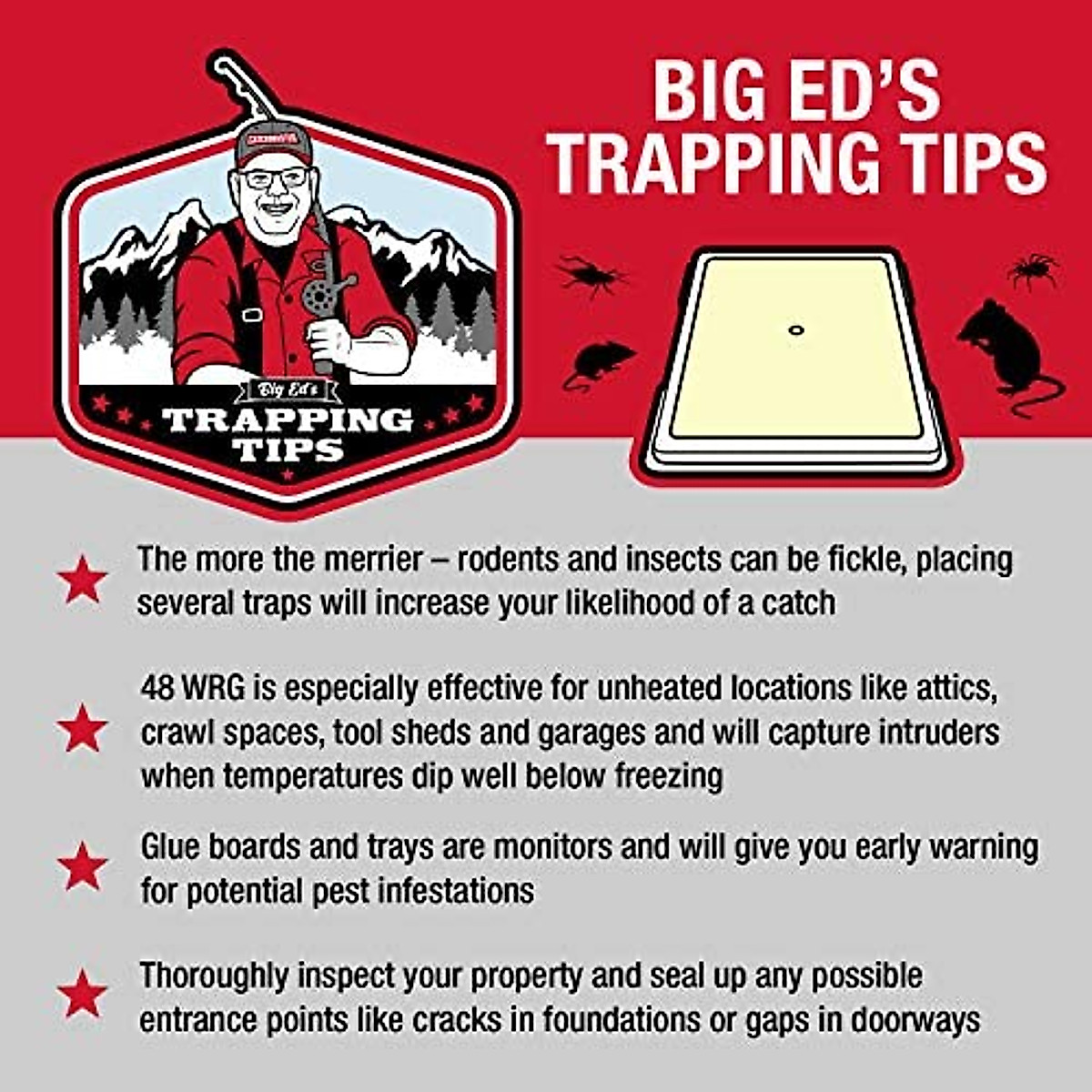 Catchmaster Cold Weather Glue Traps 6PK Mouse Traps Indoor for Home, Pest Control Adhesive Tray, Catch Bugs, Crickets, Spiders, Rats & Rodents, Pet Safe Pre-Baited Glue Boards for House, Shed & Garage