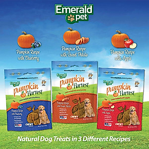 Emerald Pet Pumpkin Harvest Pumpkin Dog Treats — Low-Fat Chewy Natural Dog Treats with Pumpkin for Digestive Health — Meat Free, Poultry Free, Wheat Free Dog Treats — Apple, 6 oz