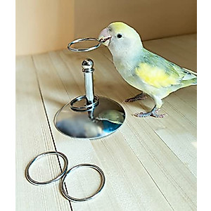 YANQIN Bird Toys Parrot Stacking Rings Toys Stainless Steel Tabletop Training Chew Toys for Small and Medium Parrots and Birds Developing Bird Intelligence (Small)