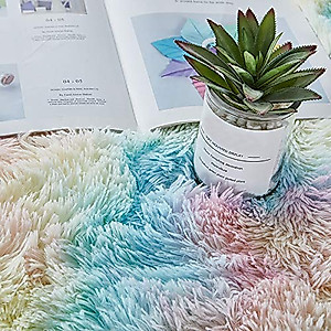 4x6 Rainbow Carpet for Living Room Soft Luxury Bedroom Fluffy Room Area Rug Shaggy Girls Comfy Mat