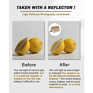 PULUZ Light Box Photography, 12"x12" Professional Dimmable Shooting Tent Kit with CRI >95 White Lighting 112 LEDs Lights + 6 Photo Backdrops for Product Display (Black)