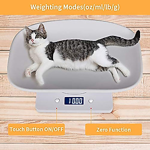 WIOR Food Scale Grams and Ounces, 22lb/10kg Digital Scale, Kitchen Scale with 1g/0.1oZ Precise Graduation, LCD Display Digital Food Scale for Kitchen, Baking, Cooking, Ingredients, Jewellery, Pet