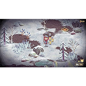 The Wild at Heart (Nintendo Switch)