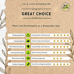 BIOZOYG | 9x6 inch Rectangle Shallow Tray 50 pcs | Disposable Trays for Party | Like Bamboo Tray| Palm leaf Serveware | Compostable Serveware | Picnic Party Serveware better than Paper Trays