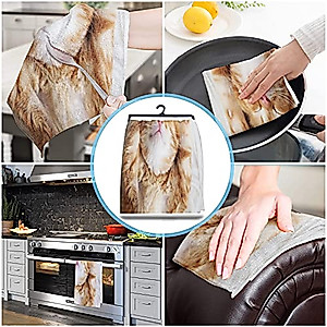 BULING Soft and Super Absorbent Dish Towels Cute Cat Lovely Animal for Pet Lover 2PCS Microfiber Kitchen Towels for Drying Dishes,Multipurpose Dish Cloths - 28 x 18 Inch
