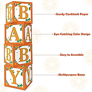 Sinasasspel Little Cutie Baby Shower Decorations Orange Balloon Boxes 1st Birthday Party Backdrop Supplies Including Clementine Party Boxes Block Orange Peach Latex Balloons Eucalyptus Leaves Ivy