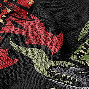 LOGOVISION Dungeons & Dragons Blanket, 50"x60" Dragons in Dragons Woven Tapestry Cotton Blend Fringed Throw