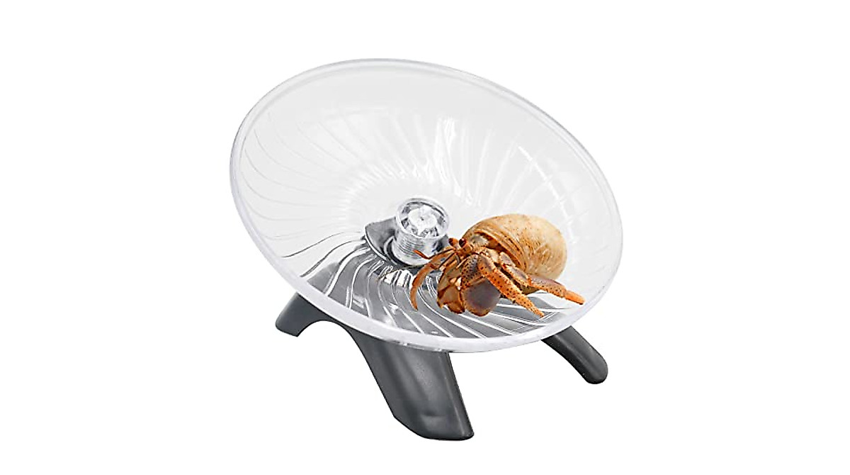 Hermit Crab Wheel Toy - Interactive Fun for Small Pets