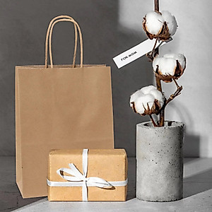 100 Pack 8x4.75x10 Inch Medium Brown Paper Bags with Handles Bulk, Joybe Kraft Paper Gift Bags for Birthday Party Favors Grocery Retail Shopping Business Goody Craft Blank Sacks (Plain Natural 100pcs)