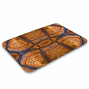 Turtle Carapace Bathroom Rug Mat, Extra Soft and Absorbent Microfiber Bath Rugs, Non-Slip Plush Bath Carpet, Bath Mats for Bathroom Floor, Tub and Shower 16x24 Inches