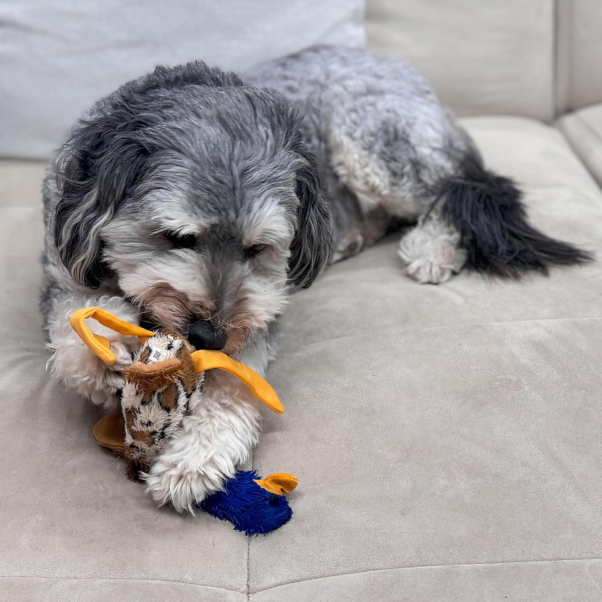 SPOT Skinneeez Plus Duck - Stuffing Free Dog Toy with Two Piece Rubber Body and Two Squeakers, Fun to Bite, Stuffingless Design is Great for Moderate Chewers, Tug Toy for Puppies & Dogs - 15in