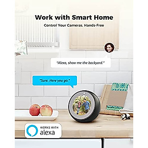 REOLINK Outdoor, Indoor Wireless Security Camera, Battery Solar Powered with 1080P HD, Night Vision, Two-Way Talk, 2.4GHz WiFi for Home Surveillance, Motion Only Alert, No Hub Needed