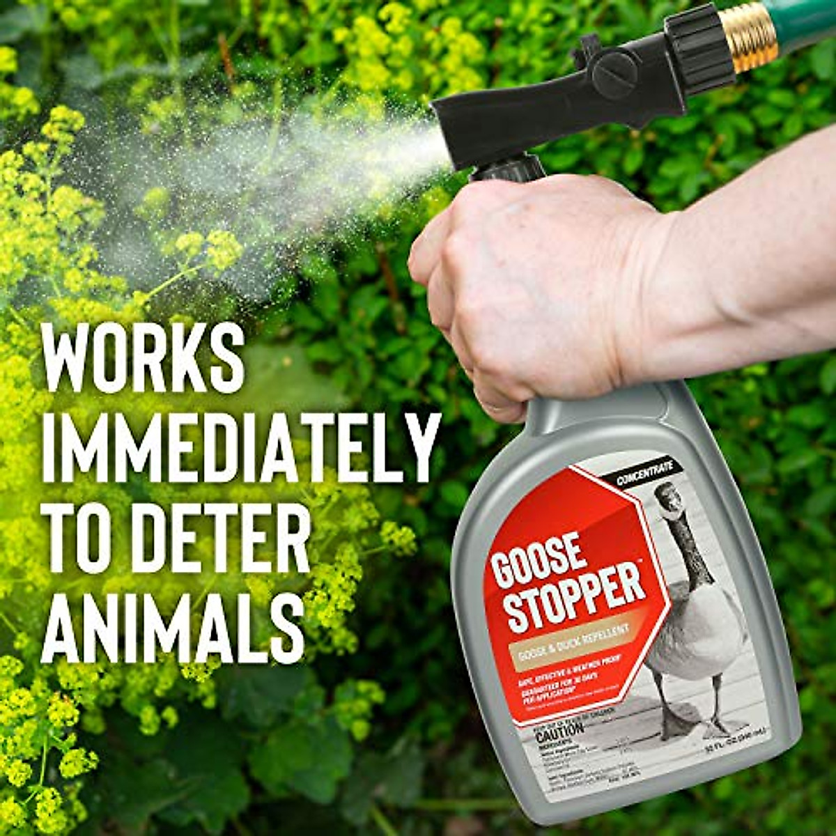 Goose Stopper Repellent - Safe & Effective, All Natural Food Grade Ingredients; Repels Geese and Ducks; Easy to Use, 2.5 Gallon Liquid Concentrate