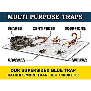 MaxGuard Extra Large Cricket Traps (8 Traps) | Non-Toxic Extra Sticky Glue Board Pre-Baited Cricket Attractant | Trap & Kill House Crickets, Insects, Spiders, Bugs |