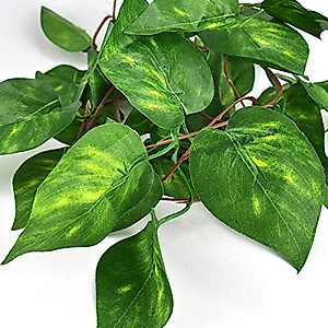 KATUMO Reptile Plants, 3 PCS Amphibian Hanging Plants with Suction Cup for Snake, Bearded Dragons, Lizards, Geckos, Toads, Hermit Crab Tank Pets Habitat Decorations