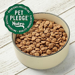 Nutro Max Adult Large Breed Dry Dog Food with Farm-Raised Chicken, 36 lb. Bag