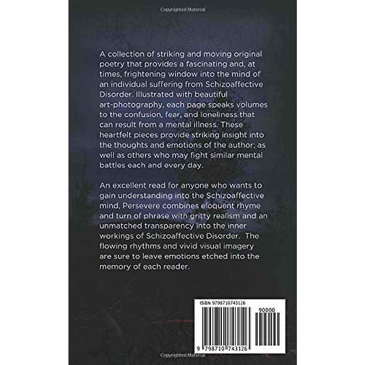 Persevere: From a Schizoaffective Mind: Poetry, Prose and Thoughts of a U.S. Army Veteran