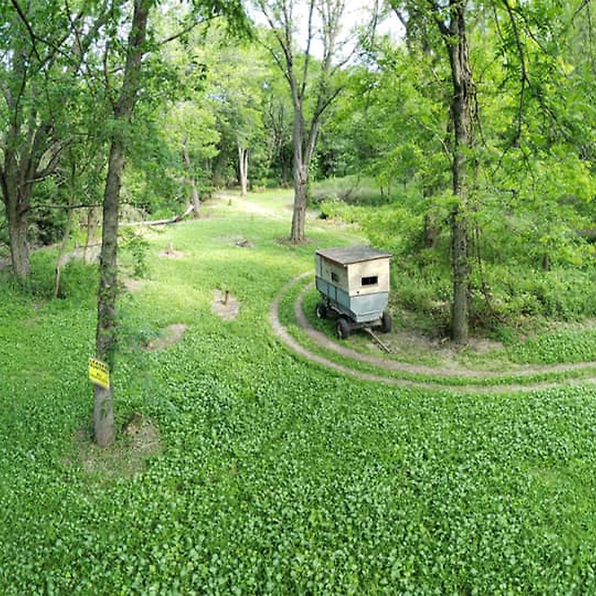 Backwoods Premium Wildlife Products Shady Patch - Premium Food Plot Seed Mix - 5 Pound Bag