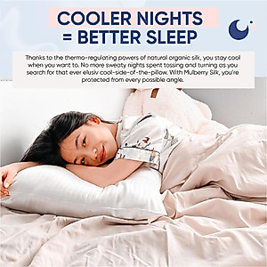 Blissy Silk Pillowcase - 100% Pure Mulberry Silk - 22 Momme 6A High-Grade Fibers - Silk Pillow Cover for Hair & Skin - Regular, Queen & King with Hidden Zipper (King, Blissy White)