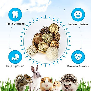 DAMPET Small Animals Play Balls, Chew Grass Balls & Rolling Chew Toys for Bunny, Improve Pets Dental Health for Rabbit, Chinchilla, Guinea Pigs, Hamsters, Gerbils, Rats, Mice （9 Pieces）
