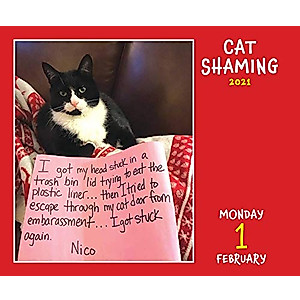 Cat Shaming 2021 Day-to-Day Calendar