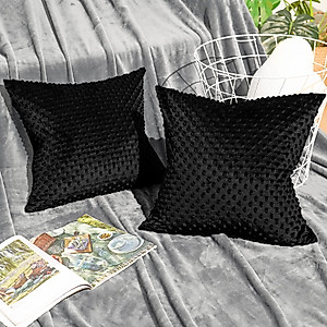 PHF Minky Dot Throw Pillow Cover 20"x 20", 2 Pack Soft Cozy Minky Bubble Real Velvet Cushion Cover, Christmas Home Decorative Pillow Pillowcase for Couch Sofa Bed, Black
