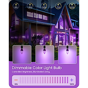 GOEBLESON Purple E12 LED Light Bulbs, C35 Dimmable Candelabra Bulbs, 5W (60W Equivalent) Chandelier Bulb, Candle Light Bulb for Halloween, Christmas, Party Decoration, Holiday, 6 Pack Z1C3P605