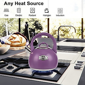 Tea Kettle for Stovetop, Food Grade Stainless Steel Water Kettle, Tea Pot for Home & Kitchen, 3.1 Quart