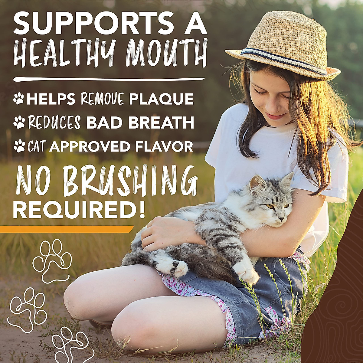 TropiClean Enticers Cat Teeth Cleaning Treat Gel | Honey Chicken Flavored Cat Toothpaste Alternative | 2 oz