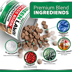 YUMA'S Dog Urine Neutralizer for Lawn - 170 Chews - Advanced Grass Green Savers for Dog Urine - Dog Pee Grass Neutralizer Supplement - Green Lawn Treats for Dogs with Probiotics and Digestive Enzymes